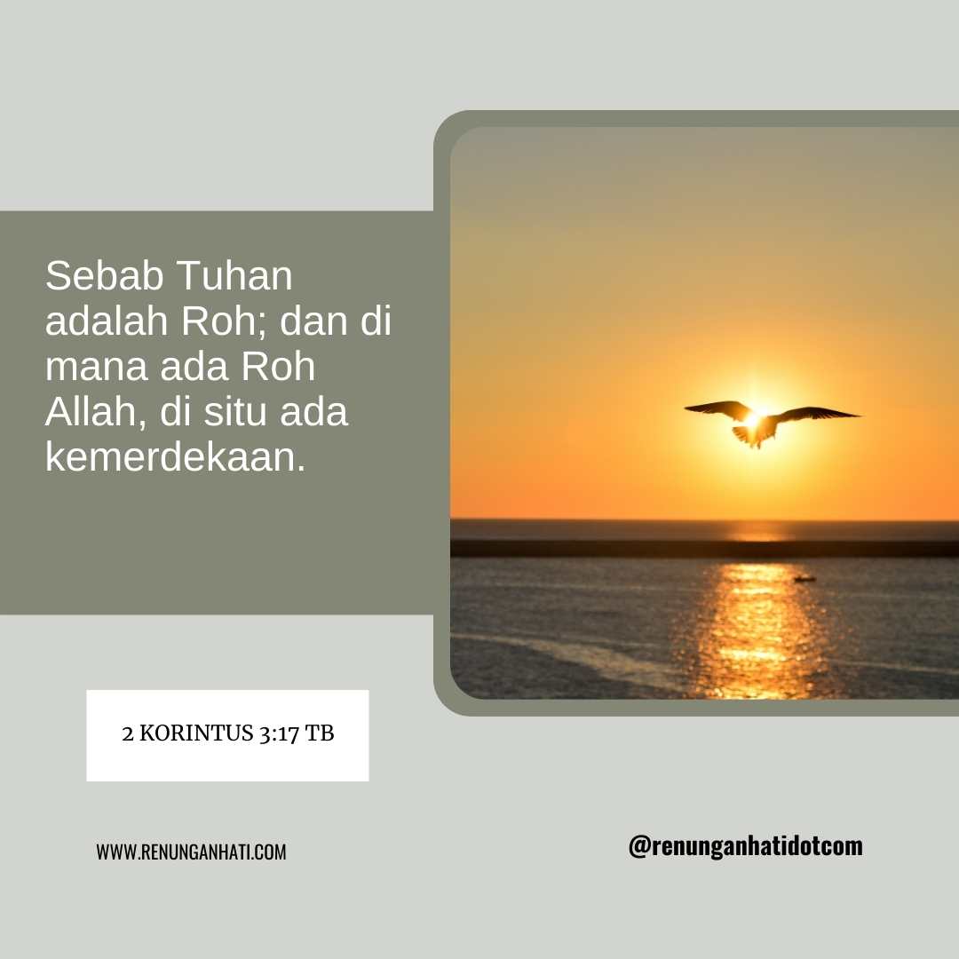 Roh Allah yang Memerdekakan - Renungan Hati